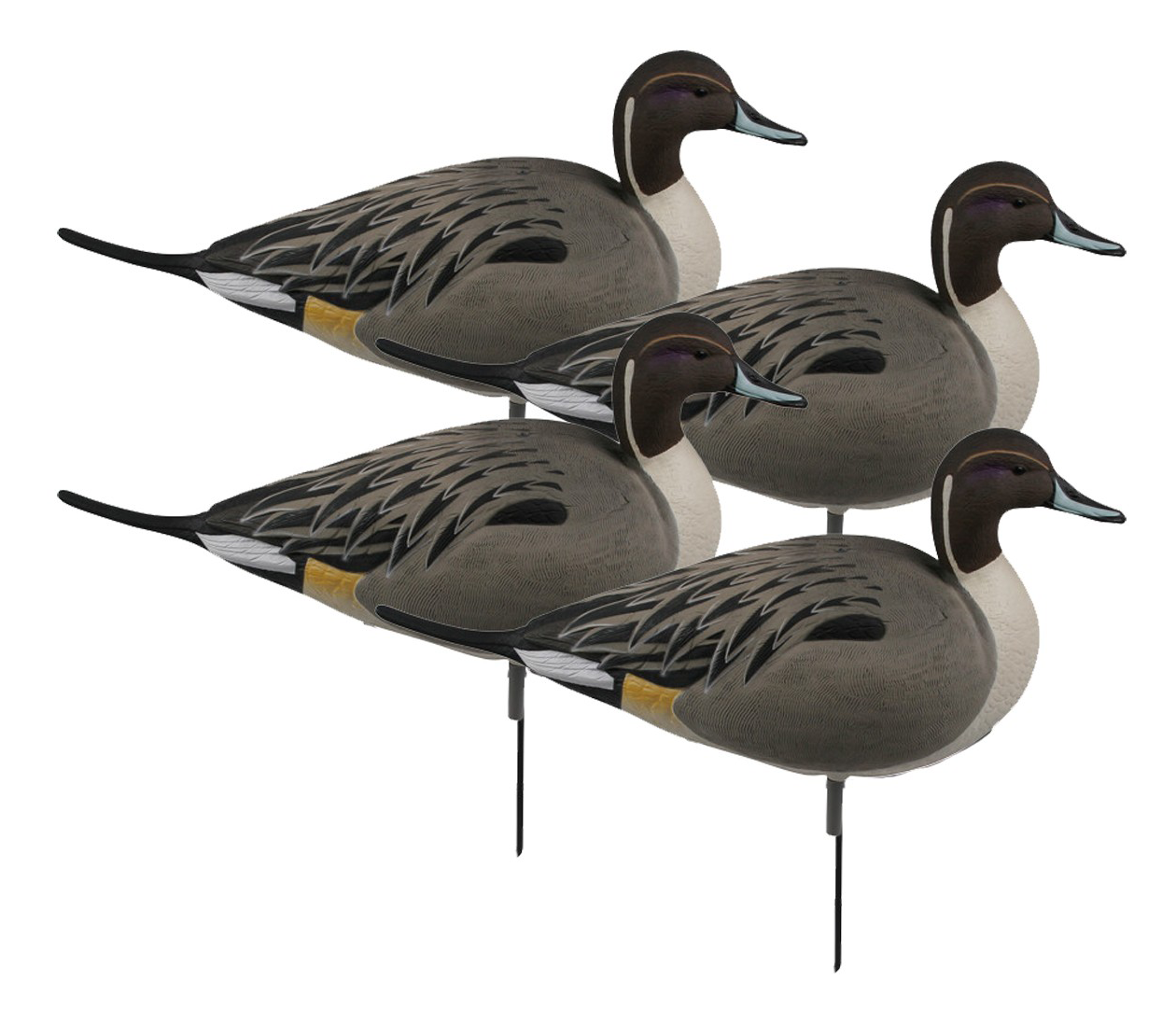 GHG Oversize Active Full Body Pintail Duck Decoys 4 Pack | Mack's Prairie Wings